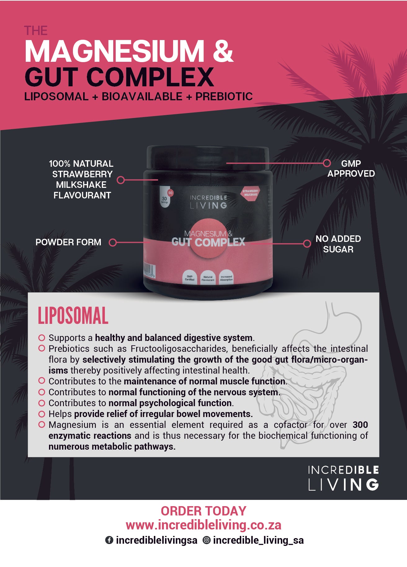 Magneium and Gut Complex – Incredible Living SA